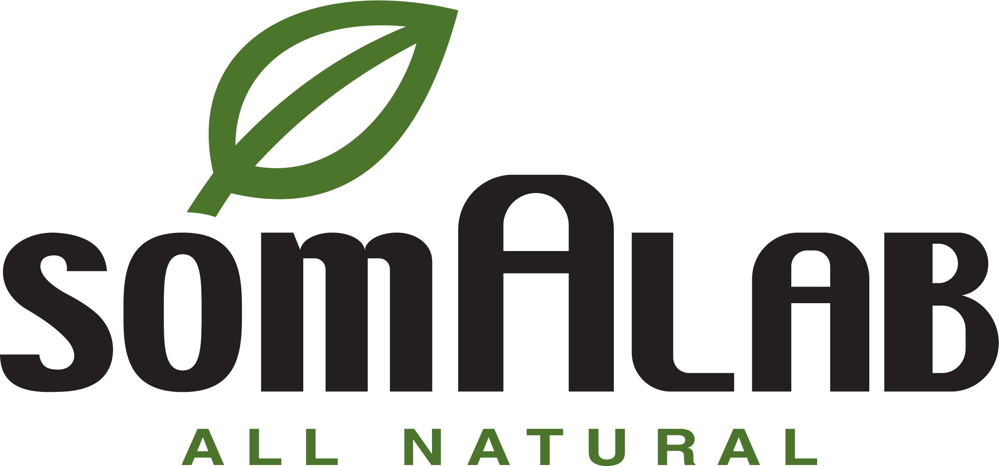 About Us – Somalab